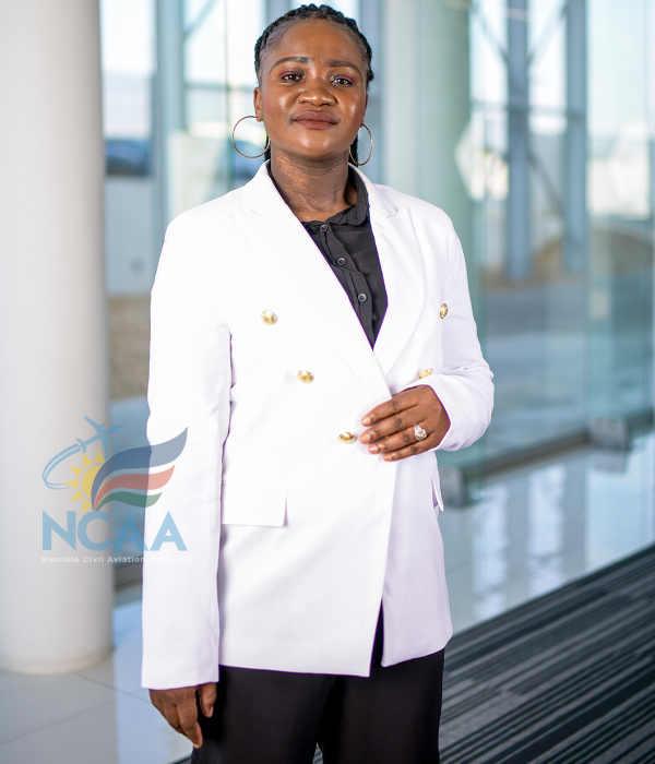 Air Navigation Services Safety Oversight (ANSSO)